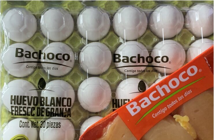 Bachoco: 26% más en ventas y centrada en lo que puede controlar ...